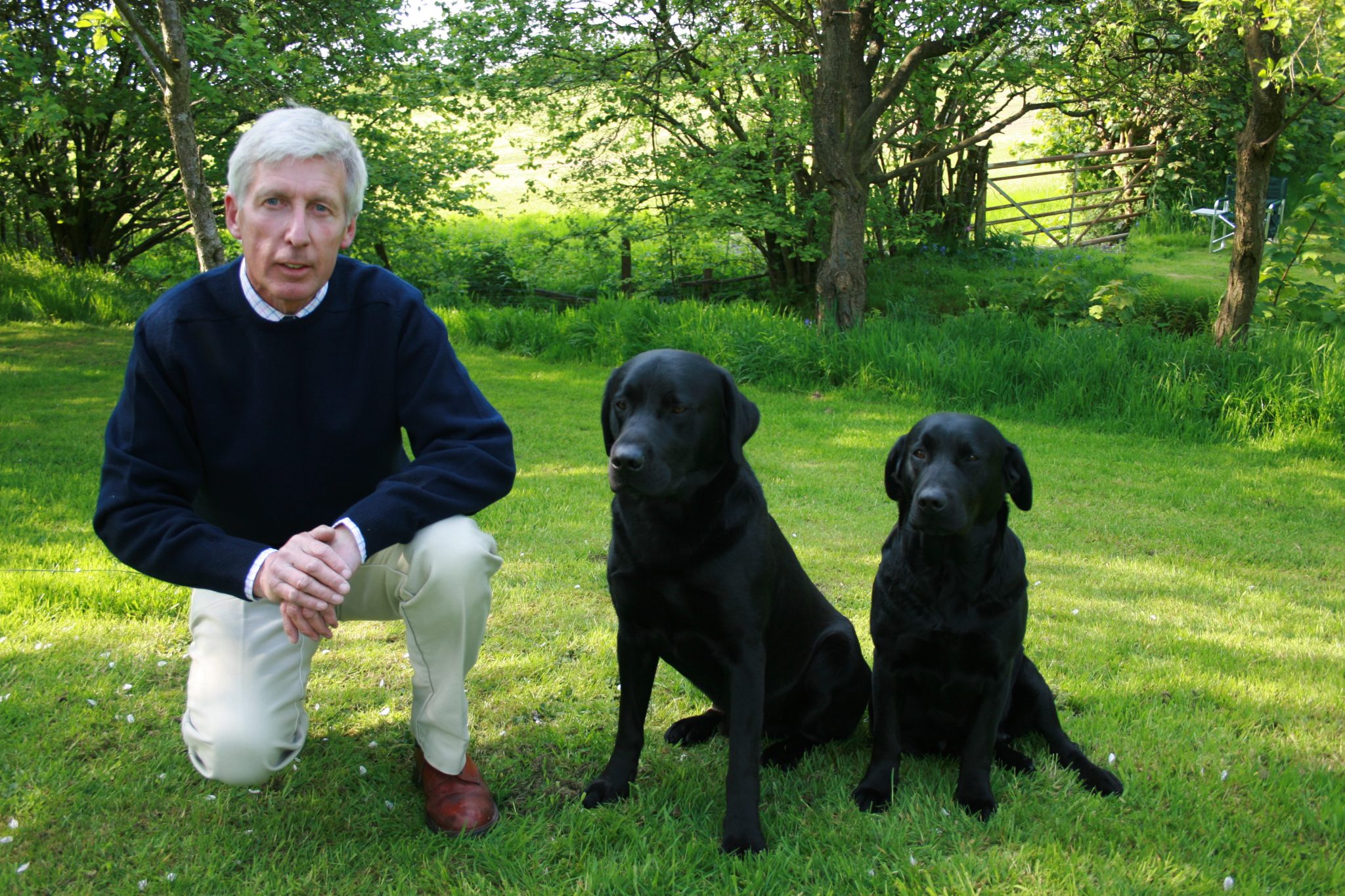 Home - Welcome to Fenway Labradors Gundog Breeders & Trainers UK