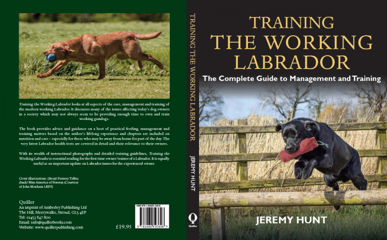 Home - Welcome to Fenway Labradors Gundog Breeders & Trainers UK